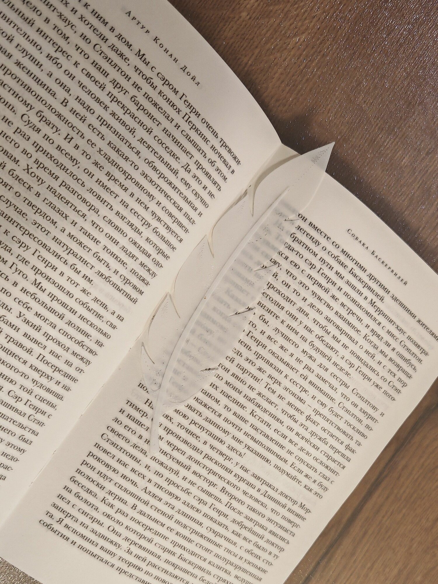 Закладка для книги Перо — фото 1
