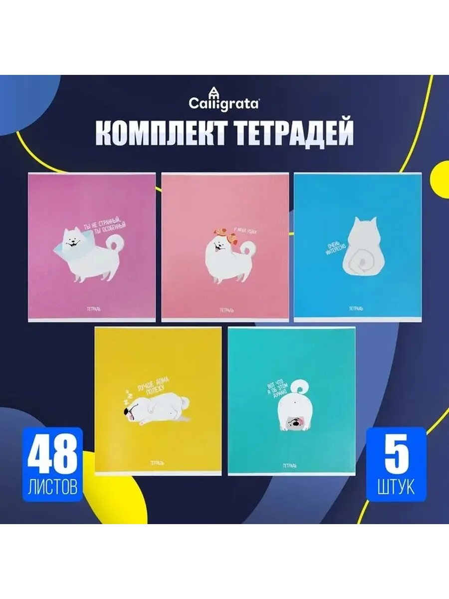Комплект из 5 тетрадей с милой тематикой