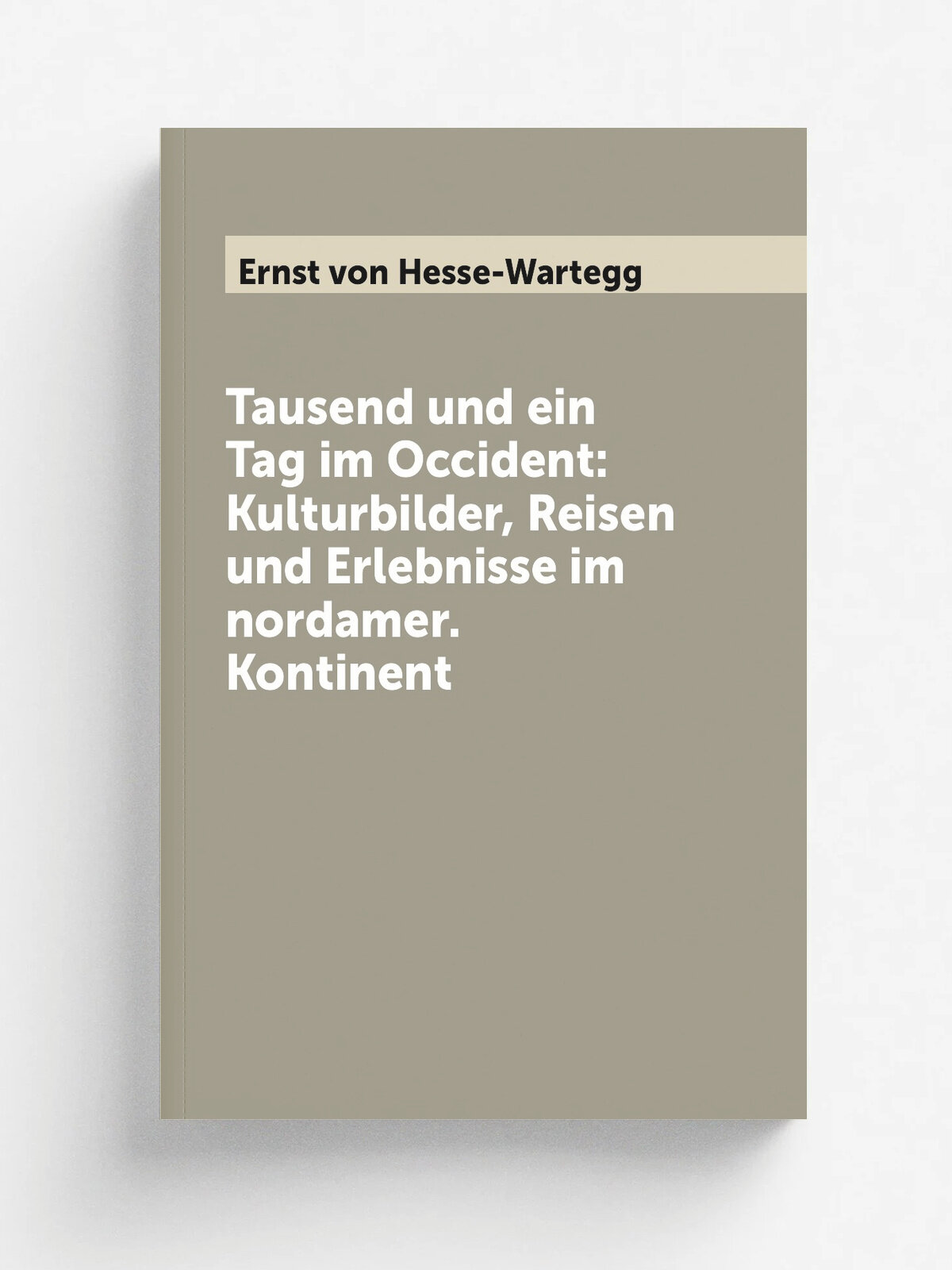 Tausend und ein Tag im Occident: Kulturbilder, Reisen und Erlebnisse im nordamer. Kontinent