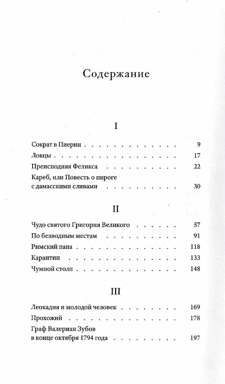 Немного чумы — фото 1