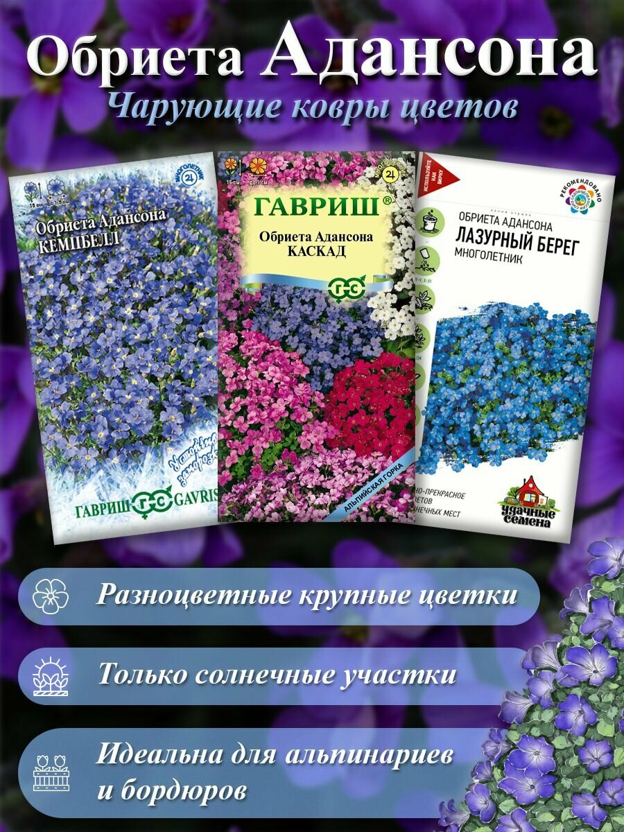 Семена обриеты Адансона для посадки многолетние цветы