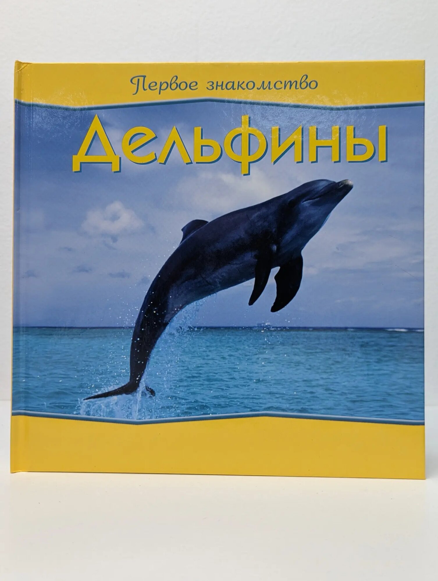 Первое знакомство. Дельфины 2010