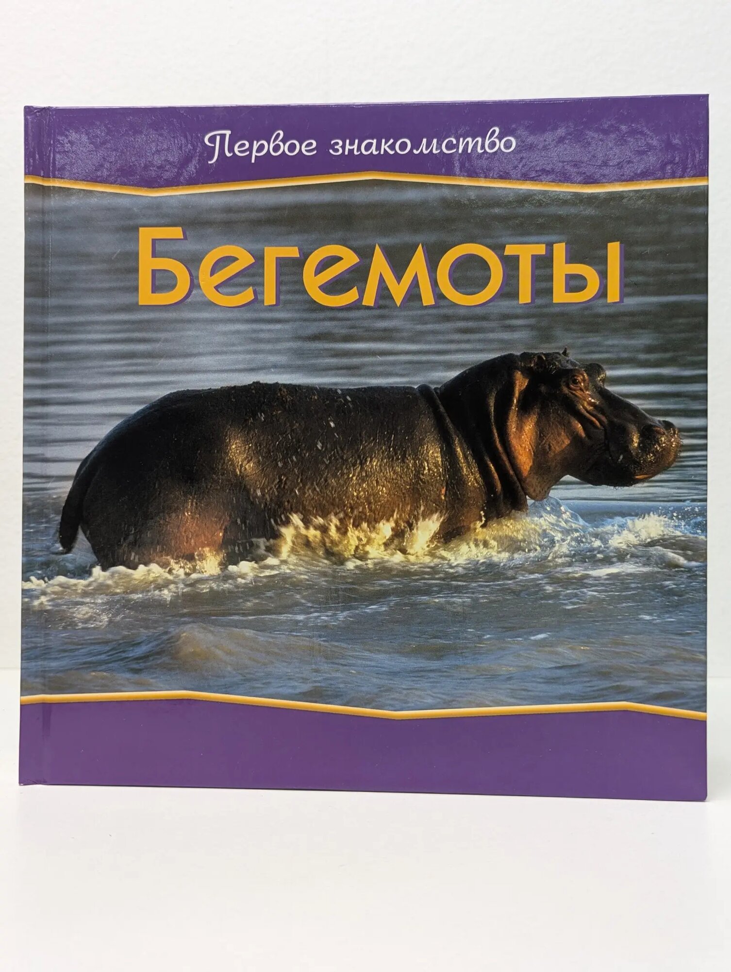 Первое знакомство. Бегемоты Сборник 2008