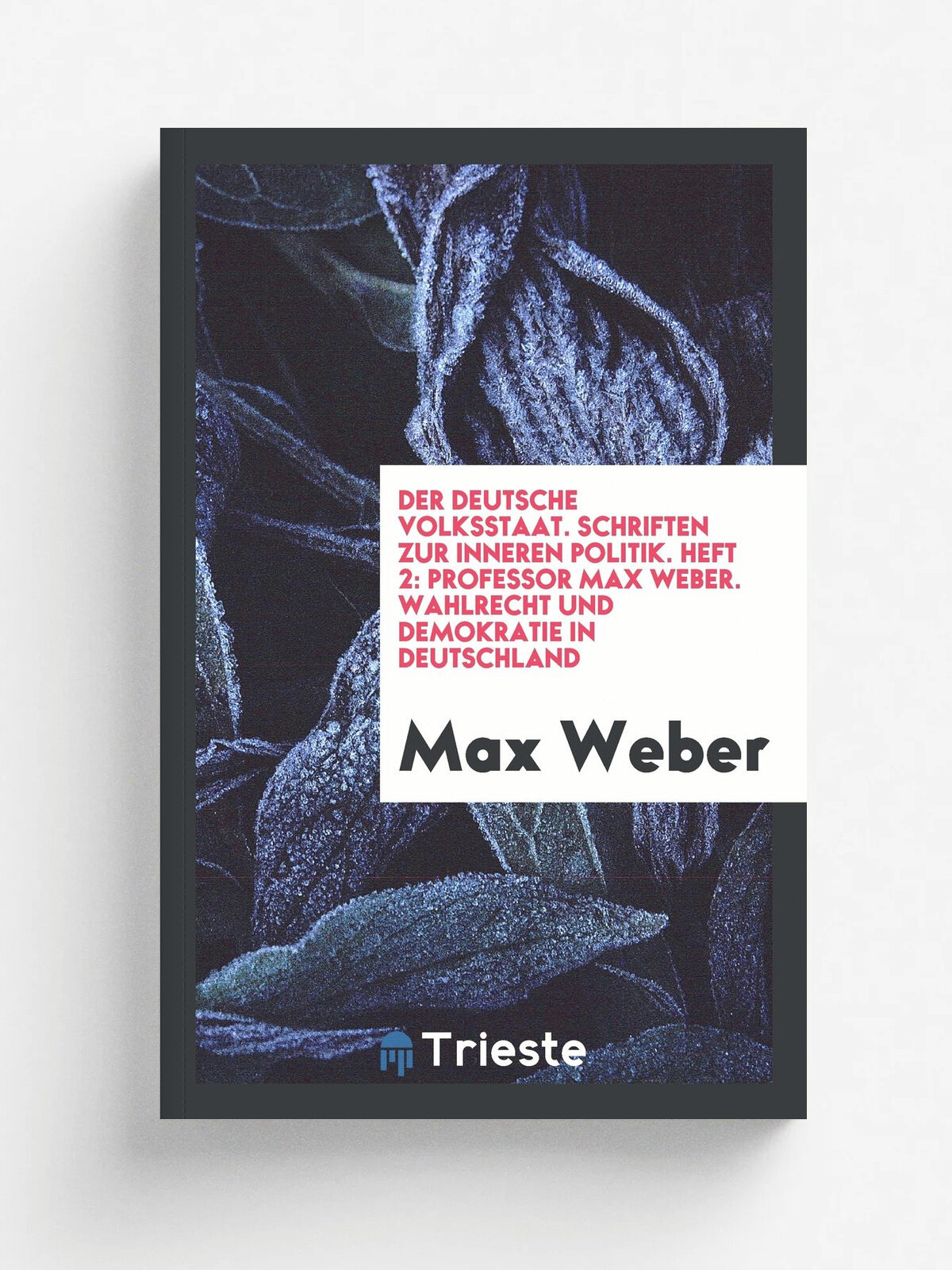 Wahlrecht und Demokratie in Deutschland