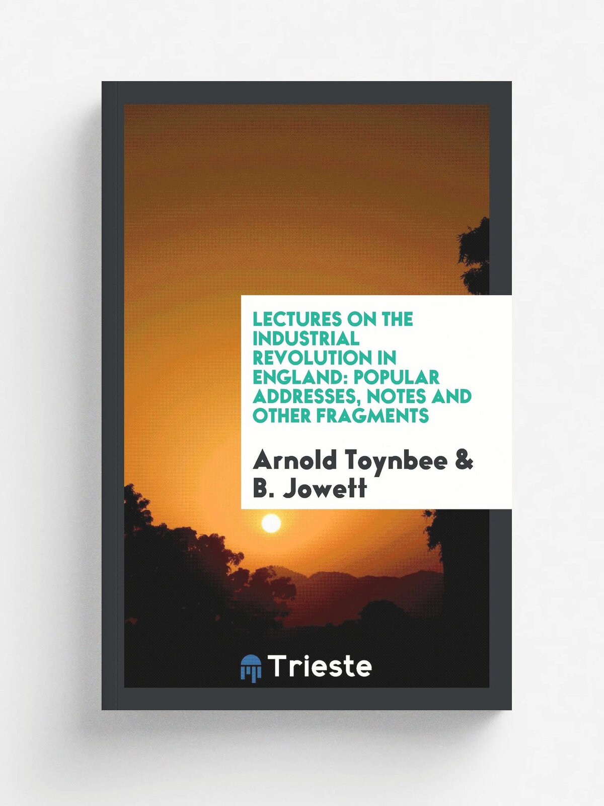 Lectures on the Industrial Revolution in England. Popular Addresses, Notes and Other Fragments