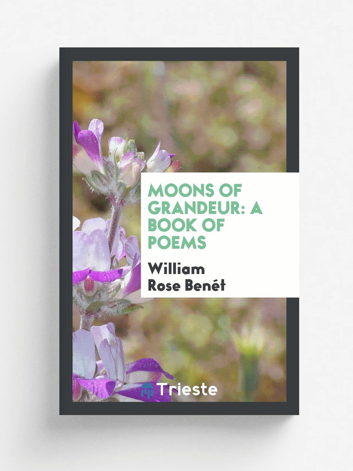 Moons of Grandeur. A Book of Poems