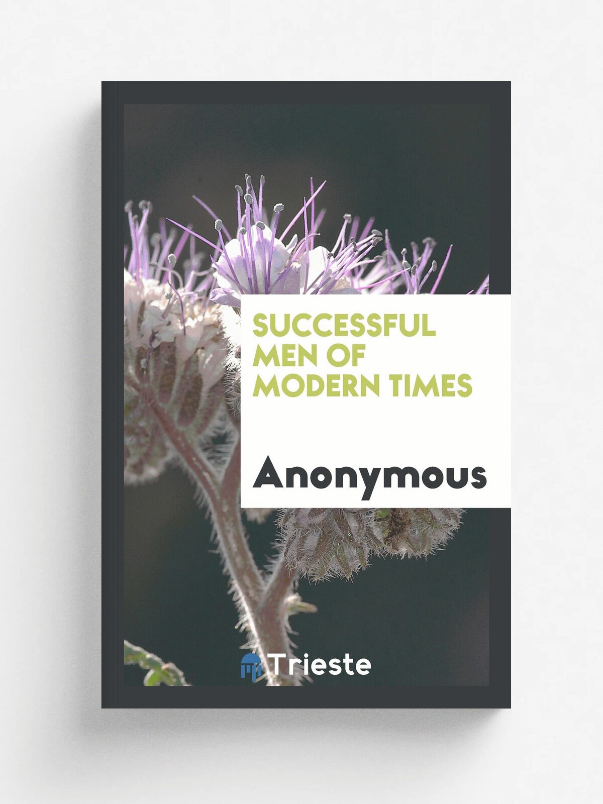 Successful men of modern times