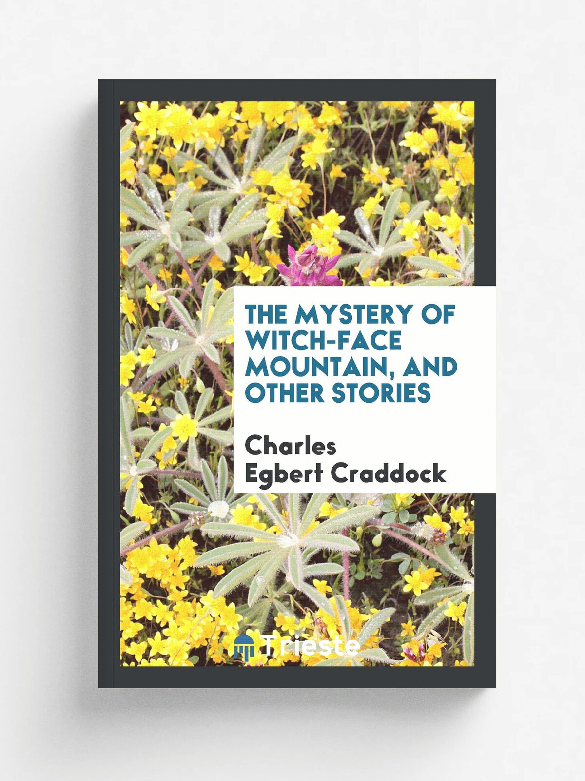 The mystery of Witch-Face Mountain, and other stories
