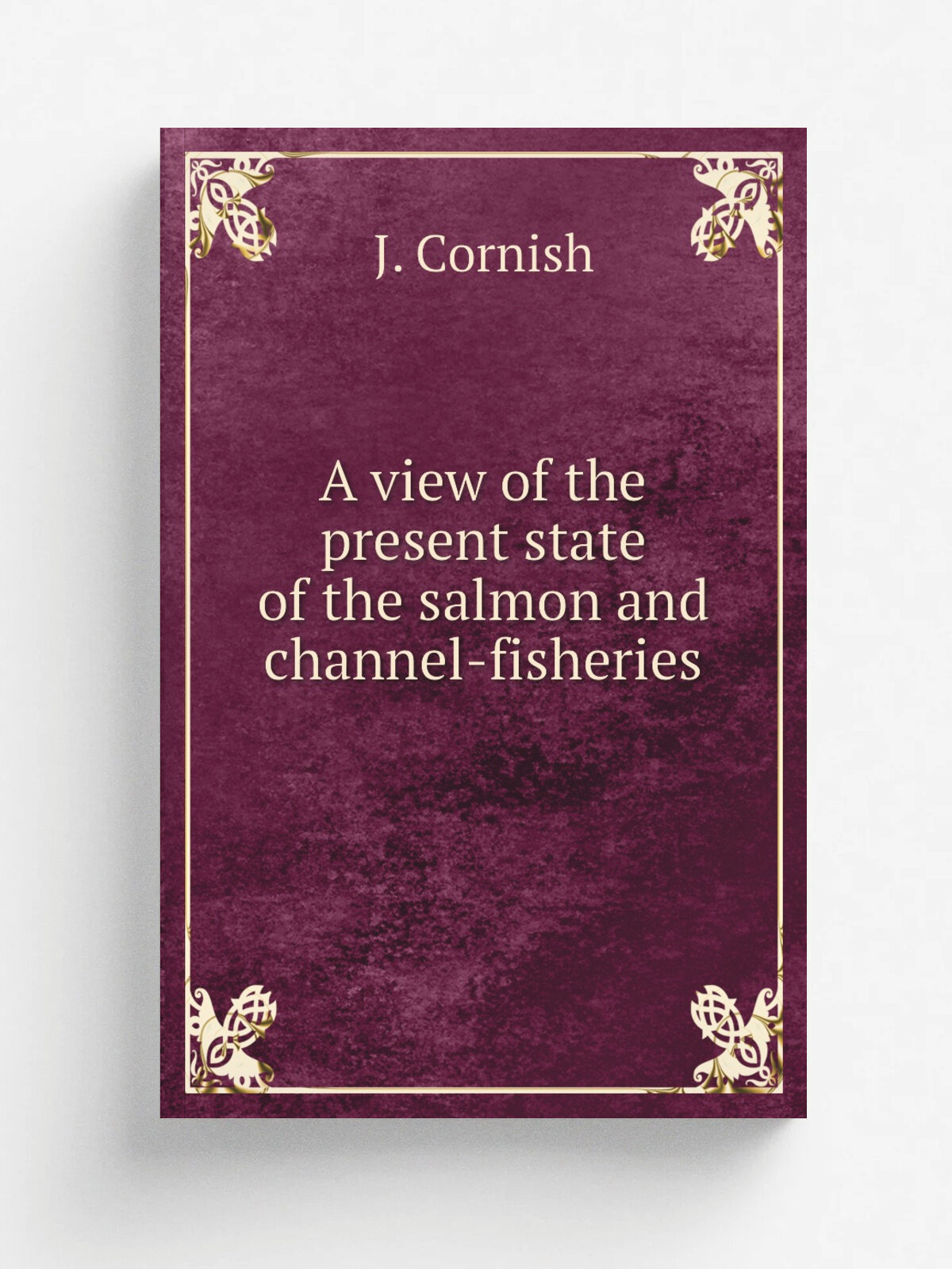 A view of the present state of the salmon and channel-fisheries