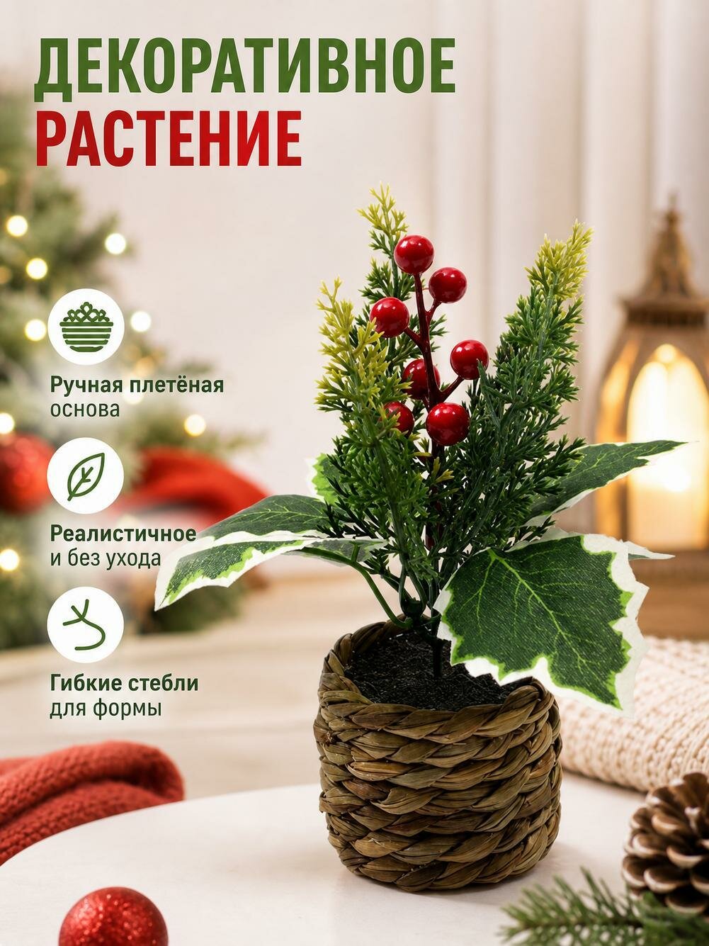 Красные плоды падуба, сплетенные в горшке