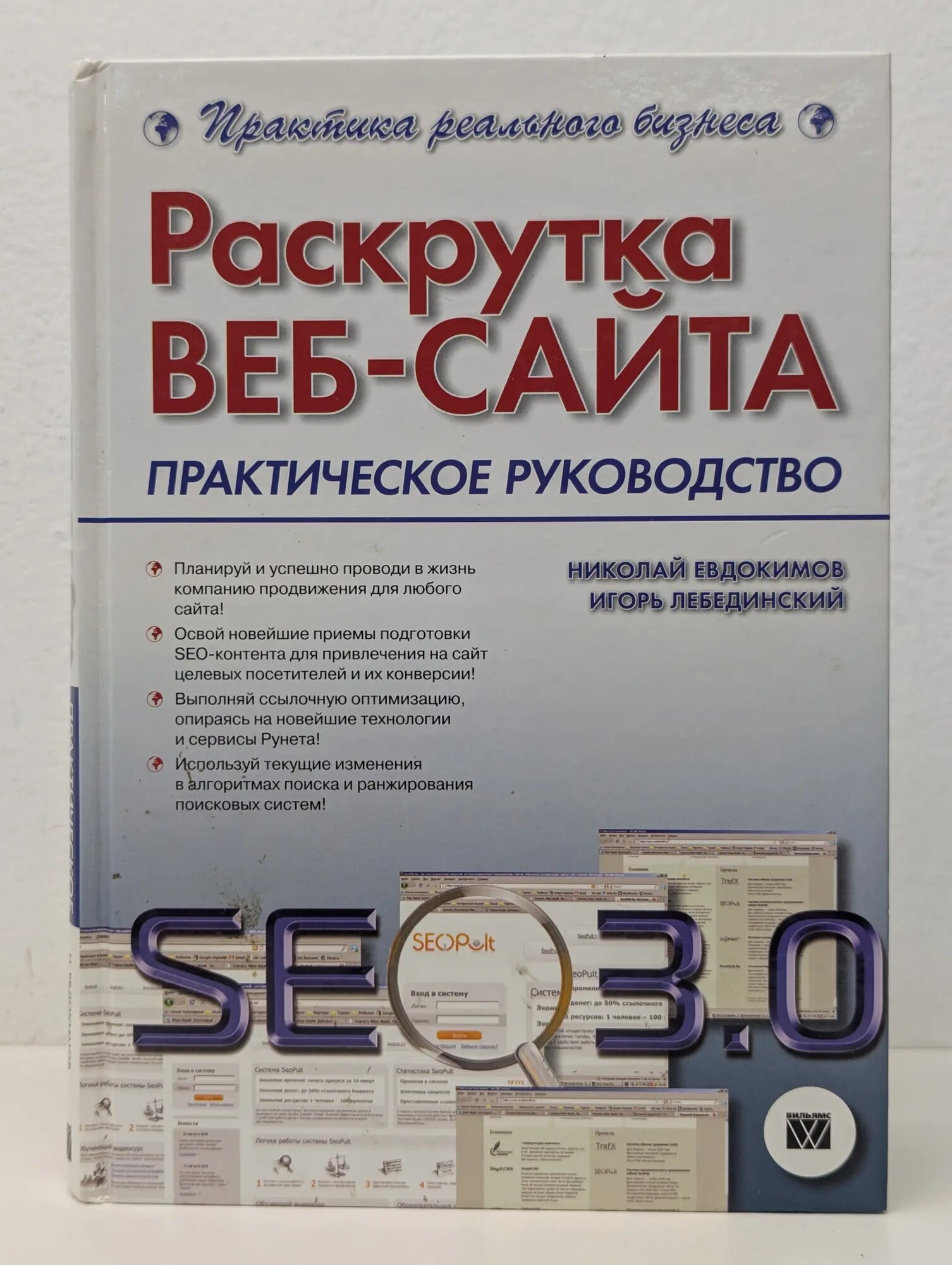 Практика реального бизнеса. Раскрутка веб-сайта. Практическое руководство Евдокимов Николай Владимирович, Лебединский Игорь Владимирович 2011