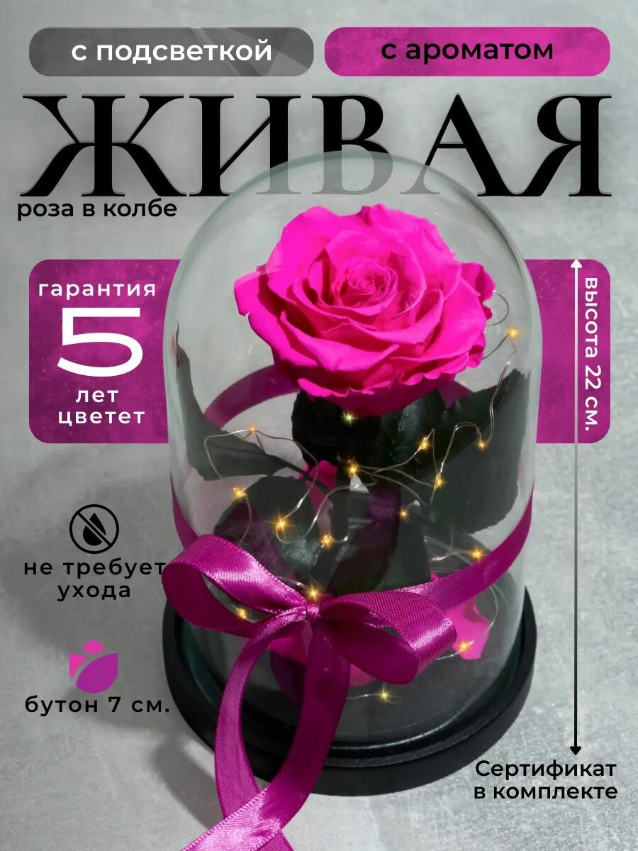 Живая роза в колбе / идеальный подарок женщине