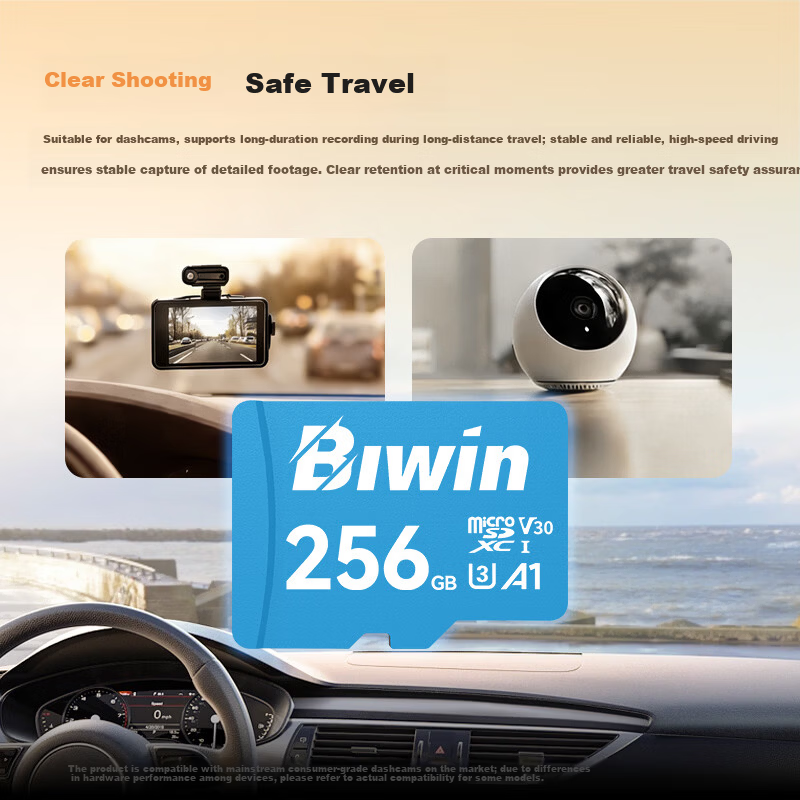 BIWIN 256GB TF MicroSD карта памяти C10 U3 V30 A1 MS100 100 МБ/с скорость чтения для видеорегистраторов и камер