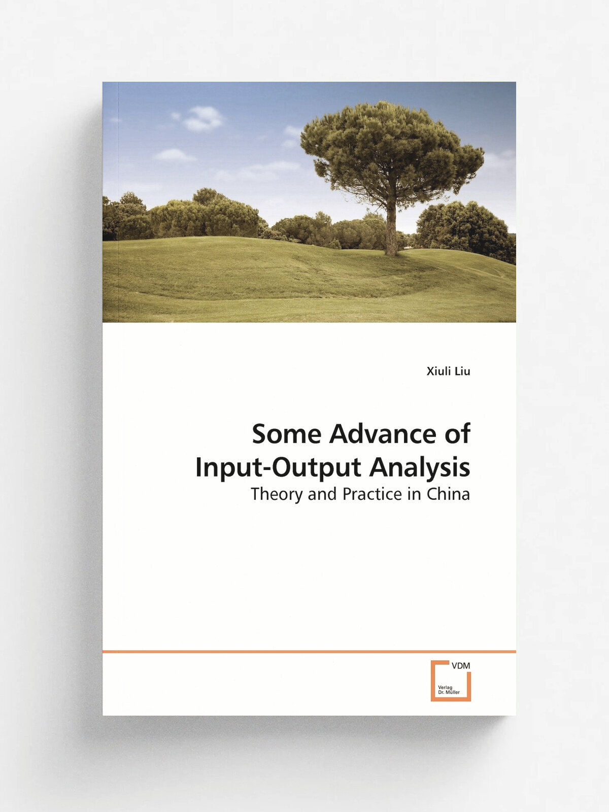 Some Advance of Input-Output Analysis