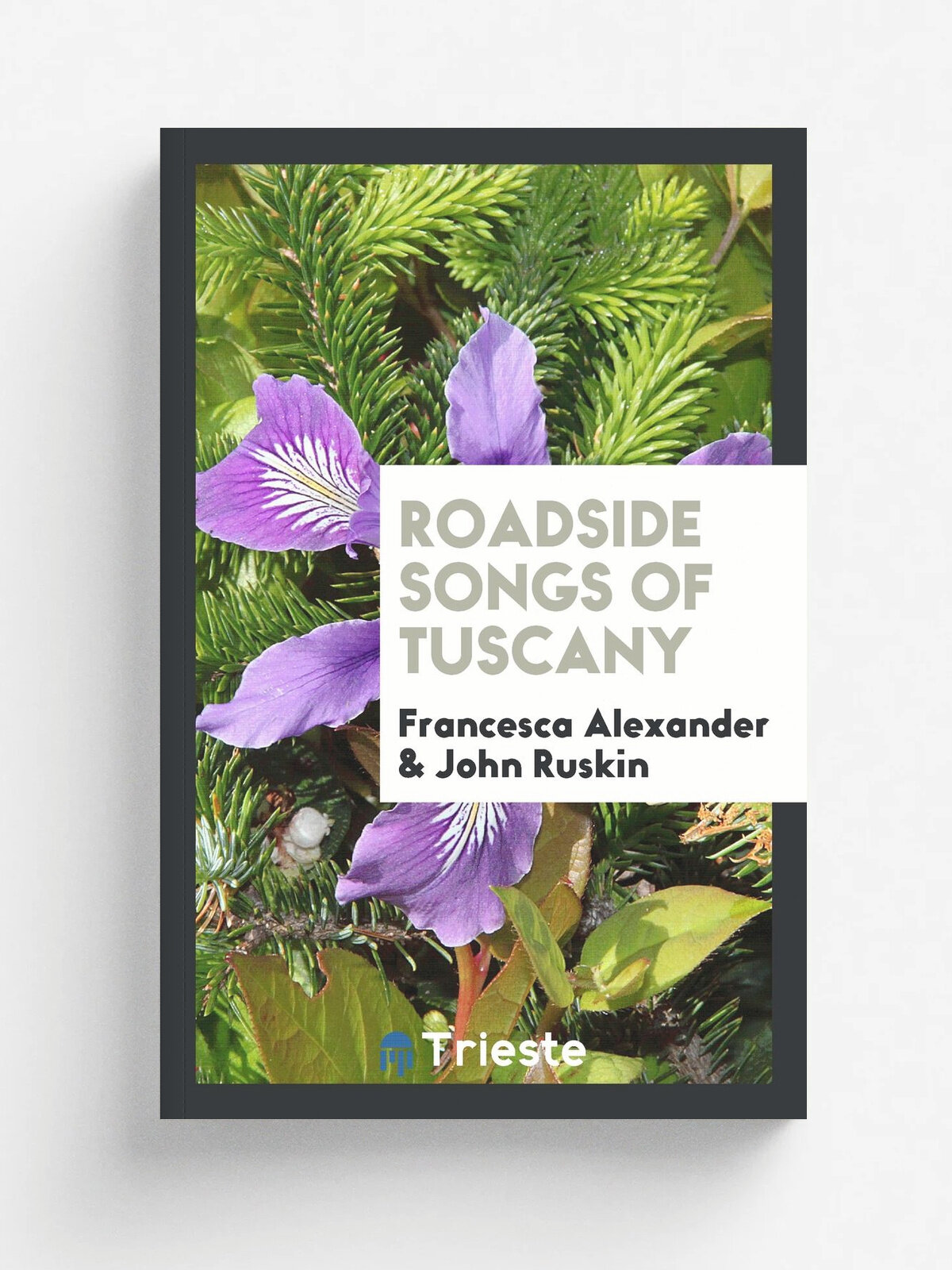 Roadside songs of Tuscany
