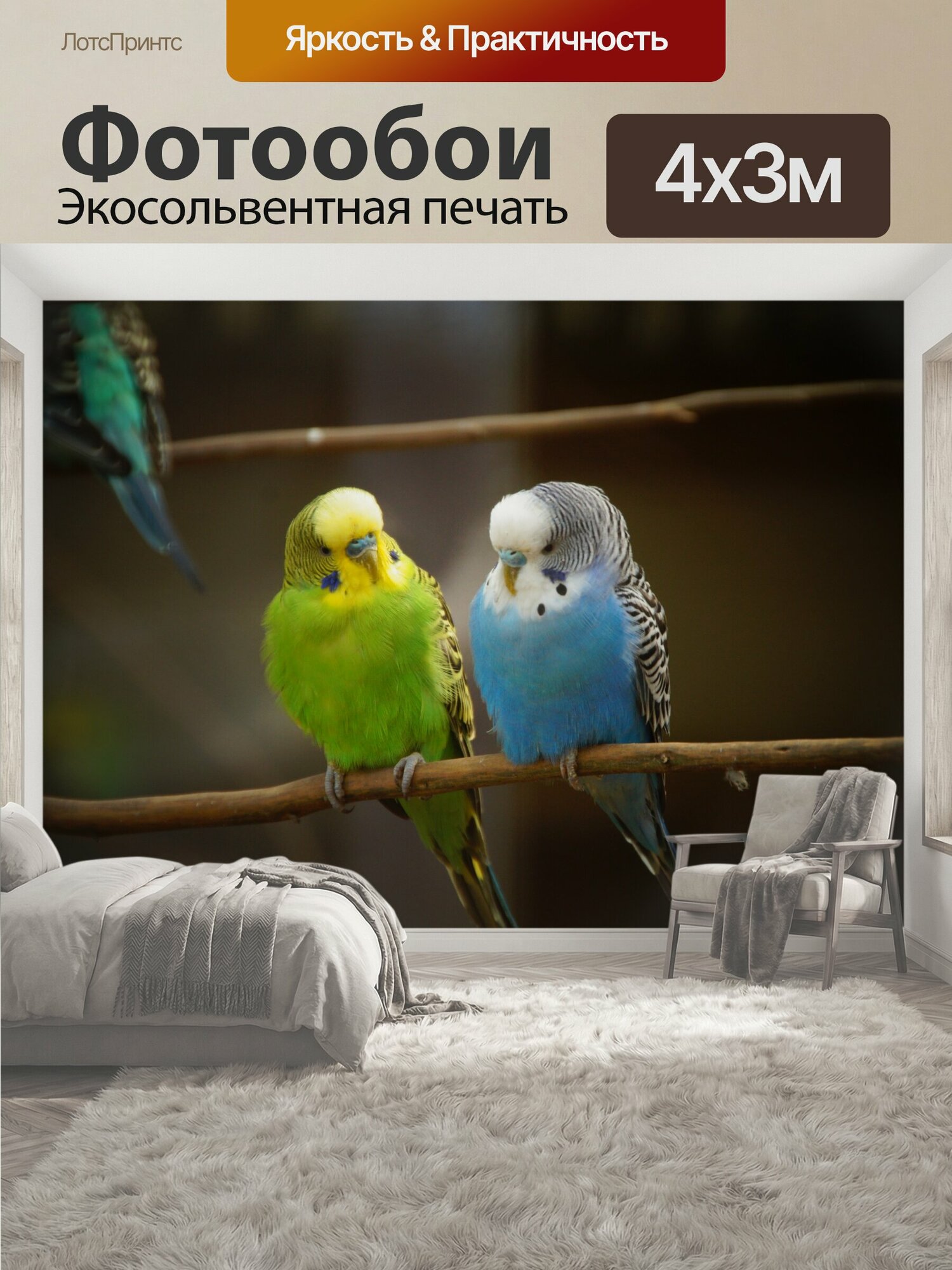 Фотообои "Волнистый попугайчик попугай птица Волнистые попугаи зеленые синие маленькие попугаи птицы в вольере в зоопарке волнистые попугаи." 400x300 см. экосольвентная печать