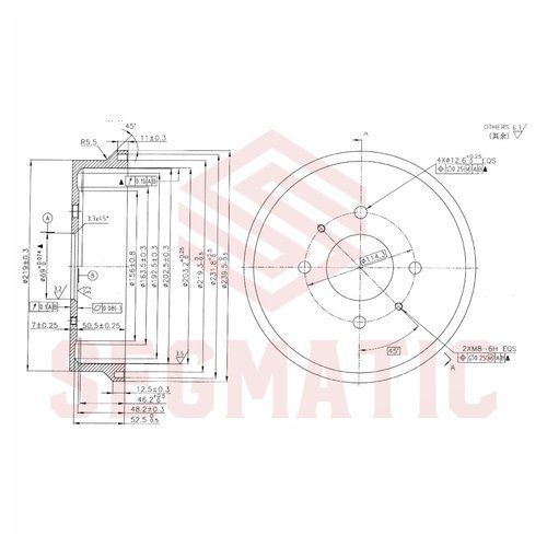 Барабан тормозной Segmatic SDB30053051