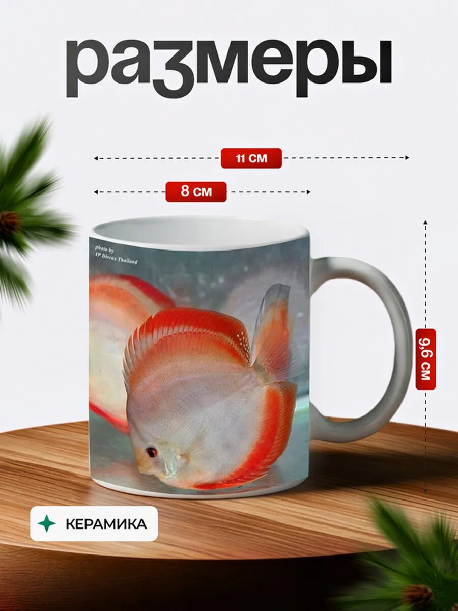 Кружка Дискус рыбка 12, — фото 1
