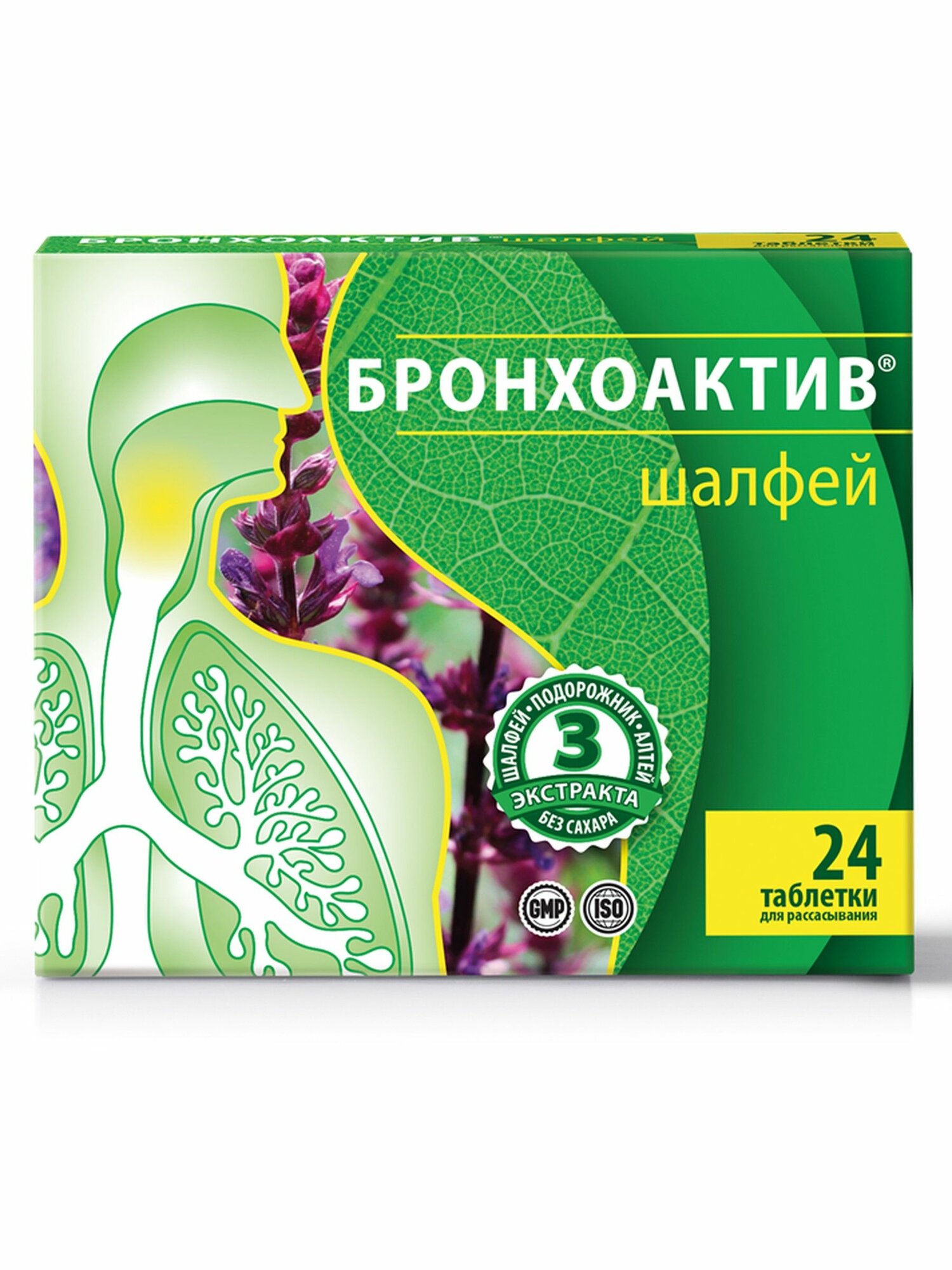 Шалфей Бронхоактив таб. для расс. №24