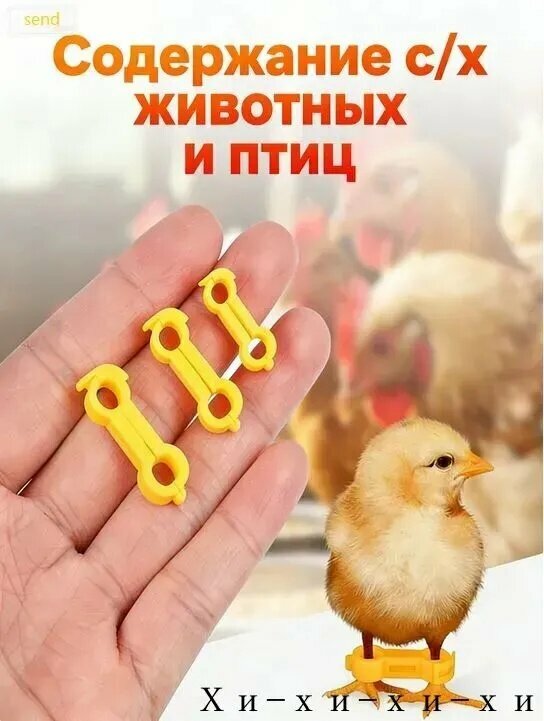Корректоры для пальцев ног в форме птицы, упаковка из 12 штук.