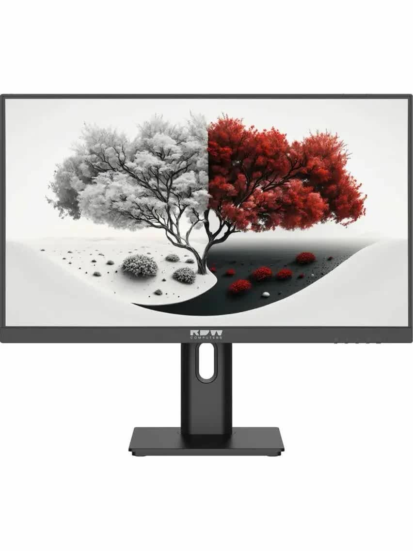 Монитор RDW Computers RDW2401K емтц.467846.005-01 черный (2401K/F05B3120V2A1B)