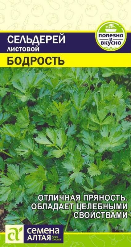 Семена Зелень Сельдерей Листовой "Бодрость"/Семена Алтая/цп 0,5 гр. семена зелени сельдерей листовой посевной материал