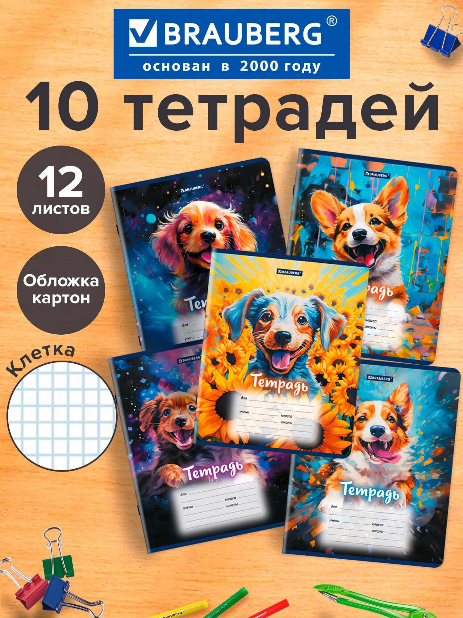 Тетрадь в клетку 12 листов для школы набор 10 штук, обложка картон, Brauberg Собачки