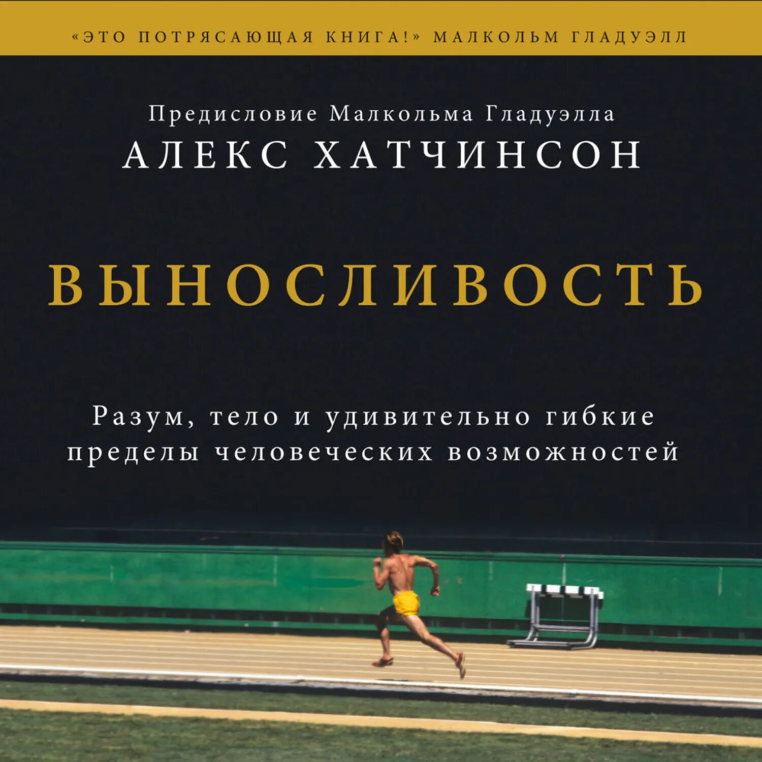 Выносливость. Саммари. Разум, тело и удивительно гибкие пределы человеческих возможностей [Аудиокнига]