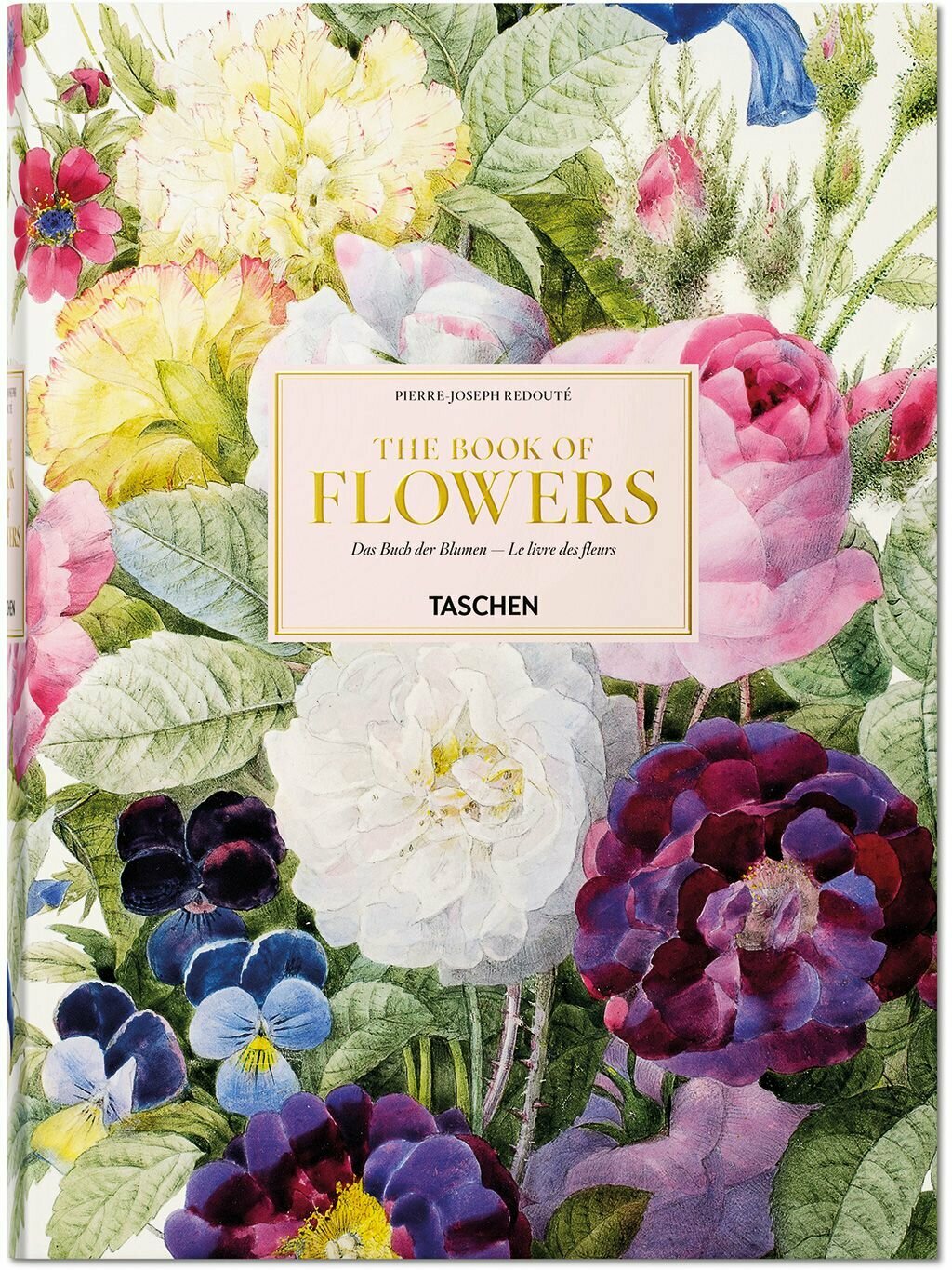 The Book of Flowers XL