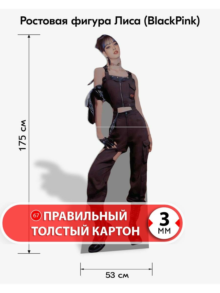 Аксессуар для фотосессий, Лиса (BLACKPINK), ростовая фигура.
