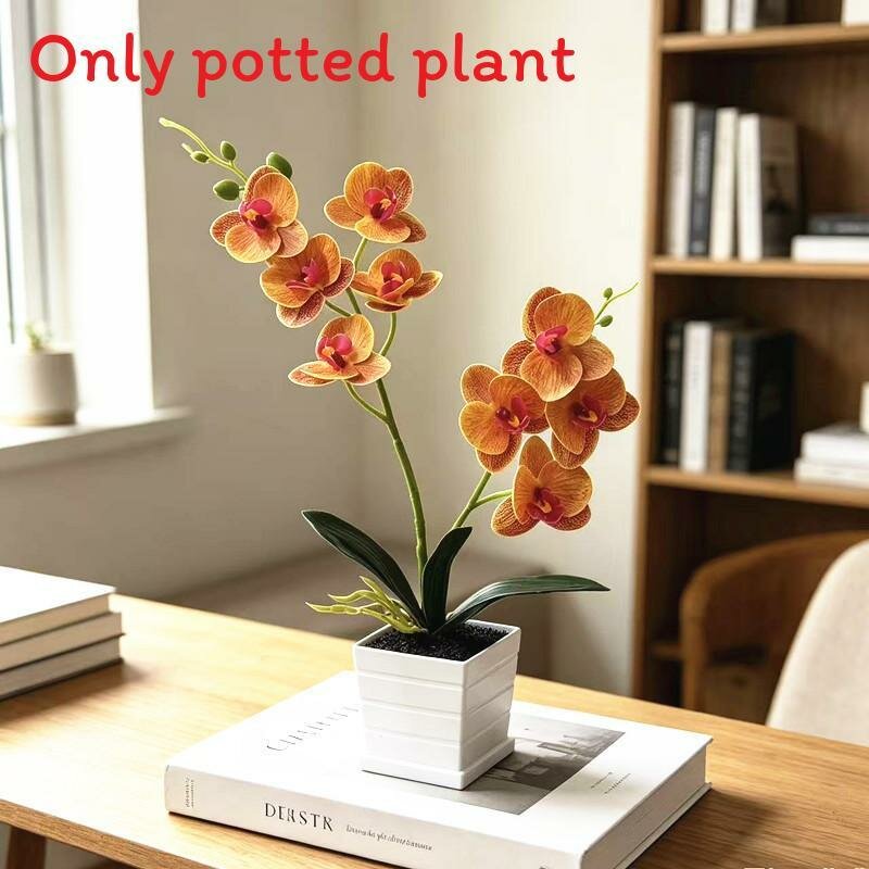 Butterfly orchid line art plant with lightweight plastic for home styling and event decoration styled