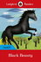 Black Beauty (Level 6)