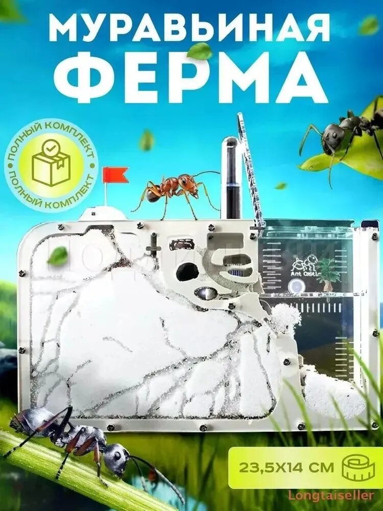 Муравьиная ферма Распродажа