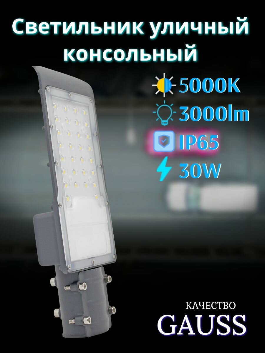 Светильник Уличный IP65 316*130*57 30W 3000lm 5000K 190-250V КСС "Ш" Gauss LED Avenue