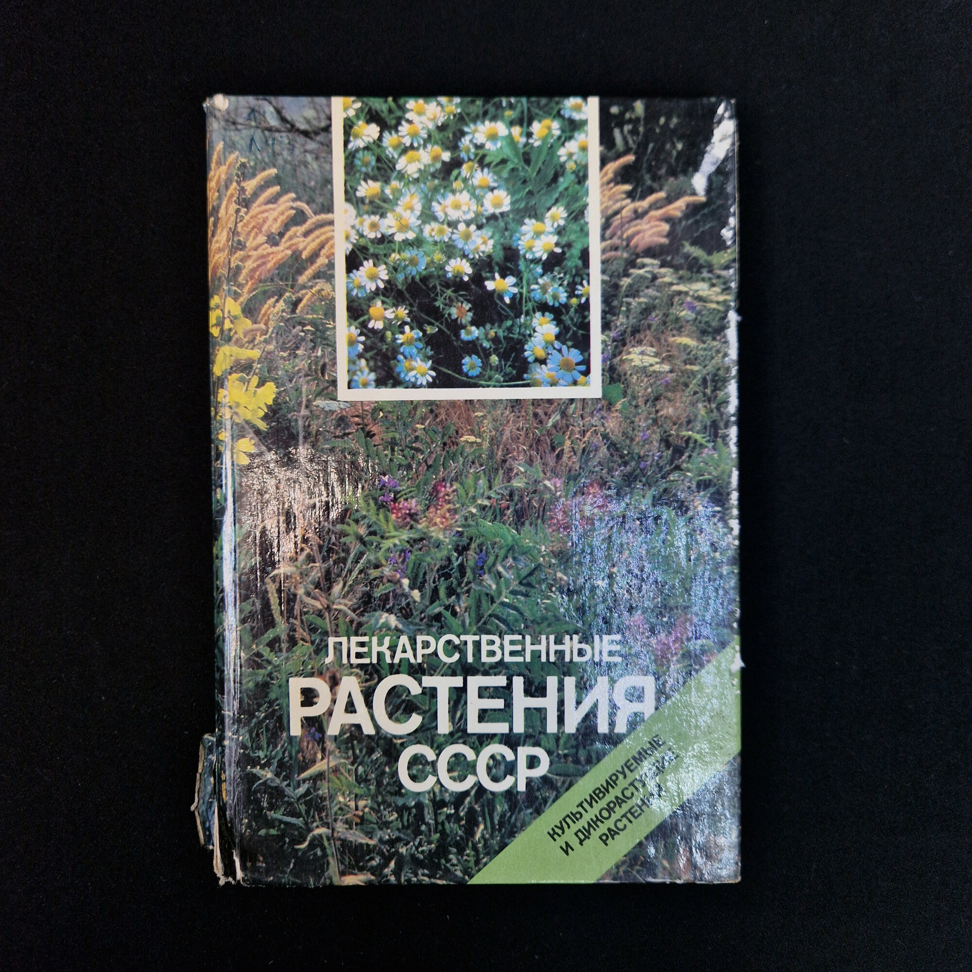 Советский фотоальбом-справочник «Лекарственные растения СССР. Культивируемые и дикорастущие растения