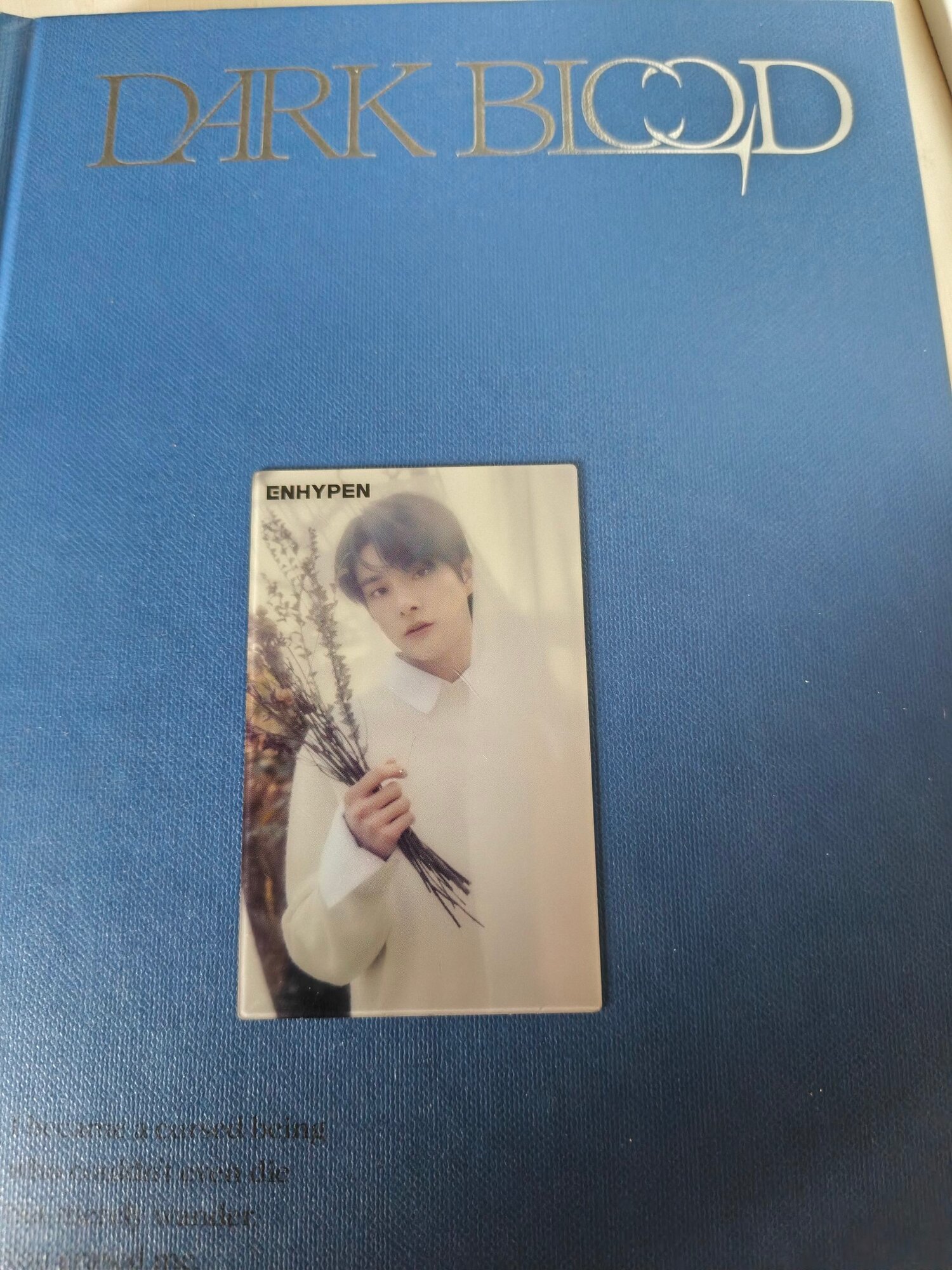 Enhypen Jake карта