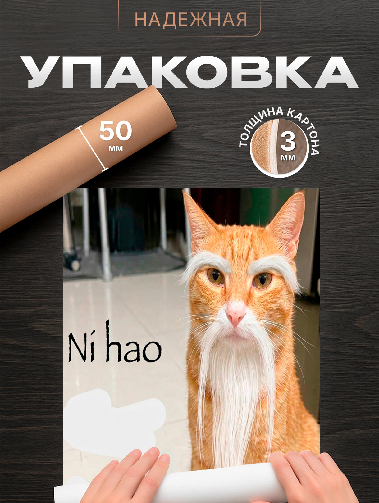 Плакат-мем "Кот-нихао" — фото 1