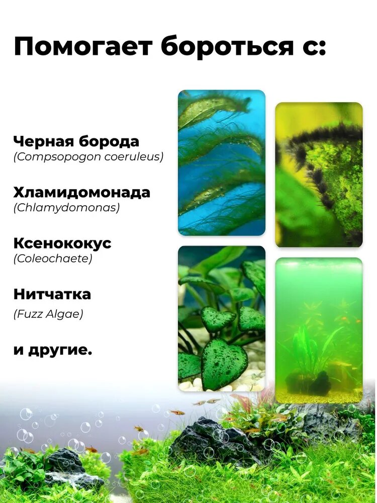 Средство против водорослей + CO2 Aquarium Life, раствор глутарового альдегида, канистра, 5 л — фото 1