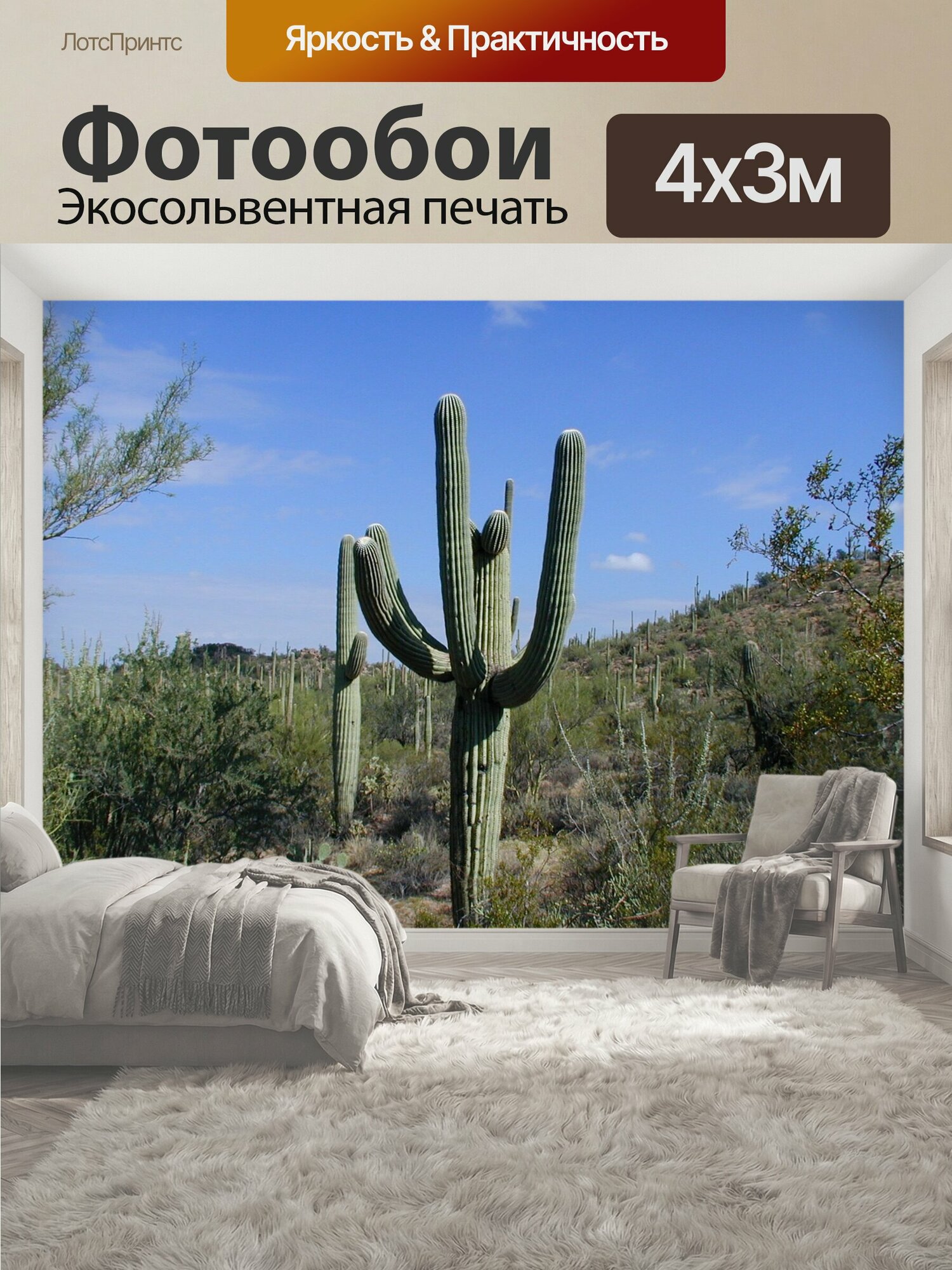 Фотообои "Сагуаро, кактус, кактусы" 400x300 см. экосольвентная печать