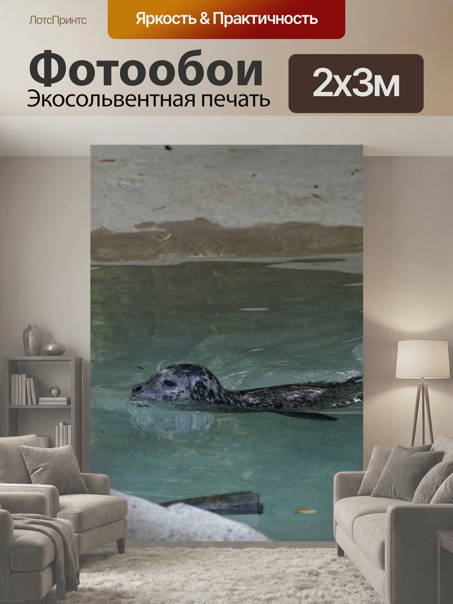 Фотообои "Тюлень, плавать, вода" 200x300 см. экосольвентная печать