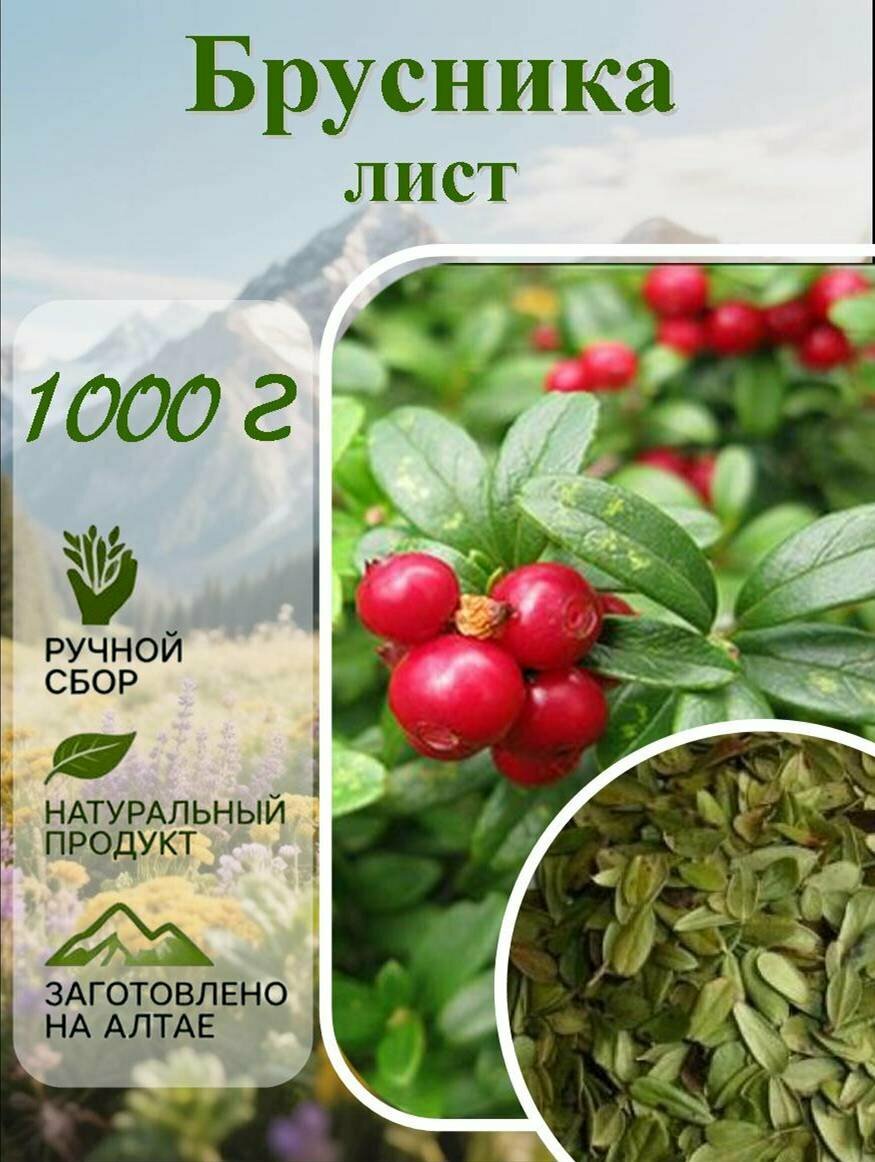 Брусника лист сушеный, противовоспалительное, 1000 гр, АлтайМир