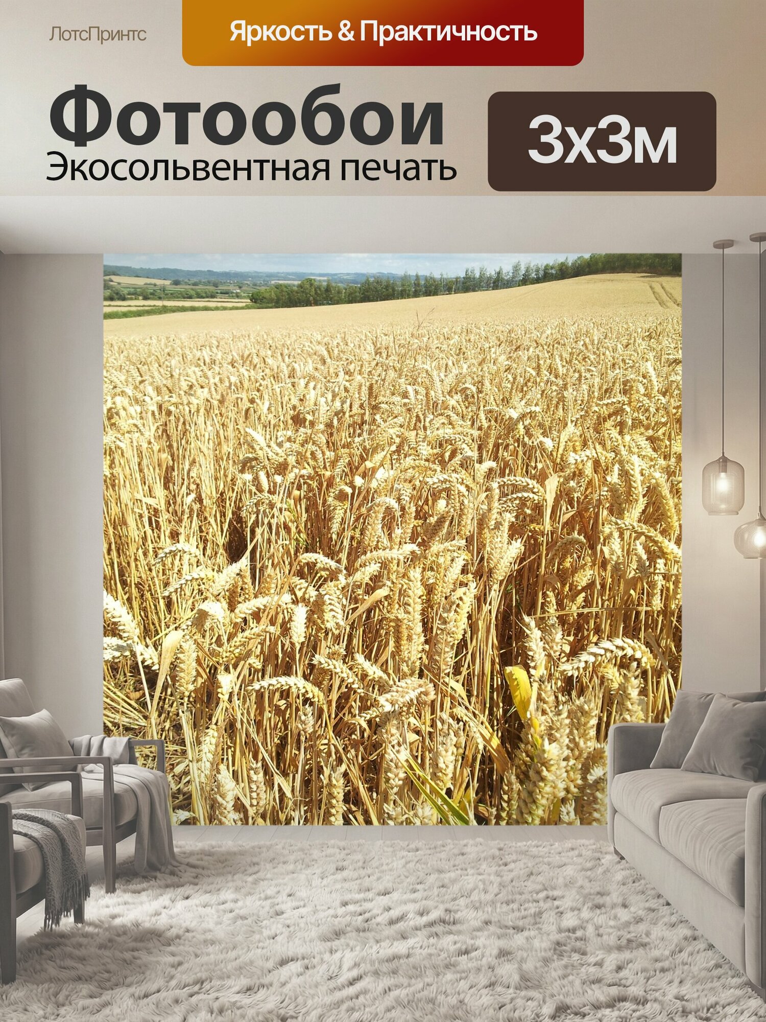 Фотообои "Пшеница, пшеничная ферма, ферма" 300x300 см. экосольвентная печать