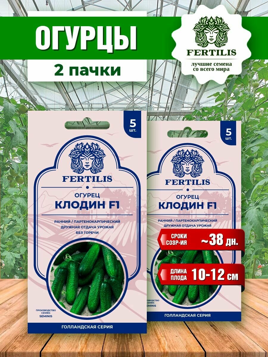 Семена урожайного огурца Клодин F1 от компании Fertilis (2 пачки)