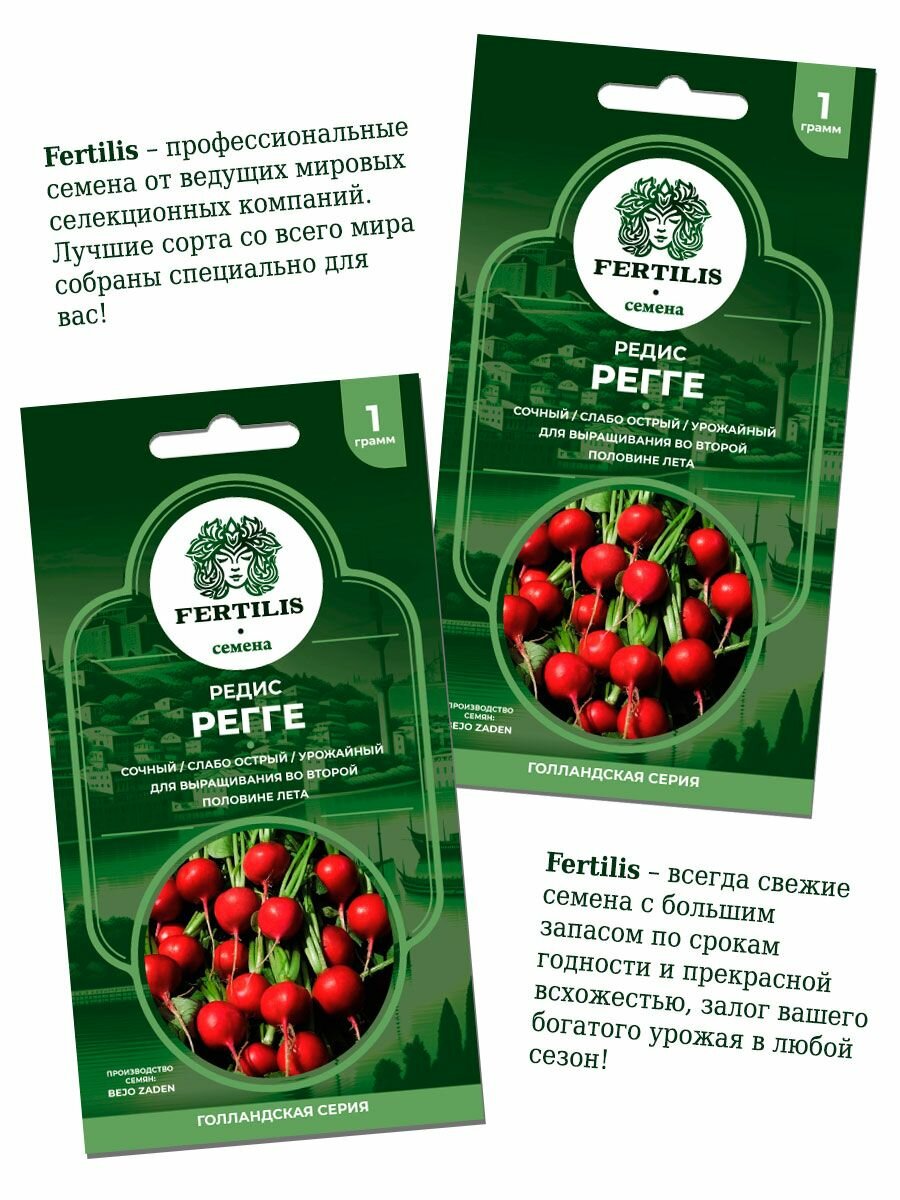 Семена урожайного редиса Регге от компании Fertilis (2 пачки) — фото 1
