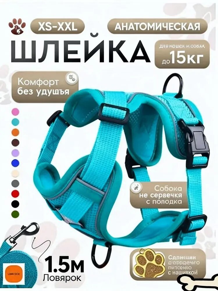 Шлейка для собак мелких пород анатомическая, с поводком 1.5 метра Savipets, размер M, цвет бирюзовый