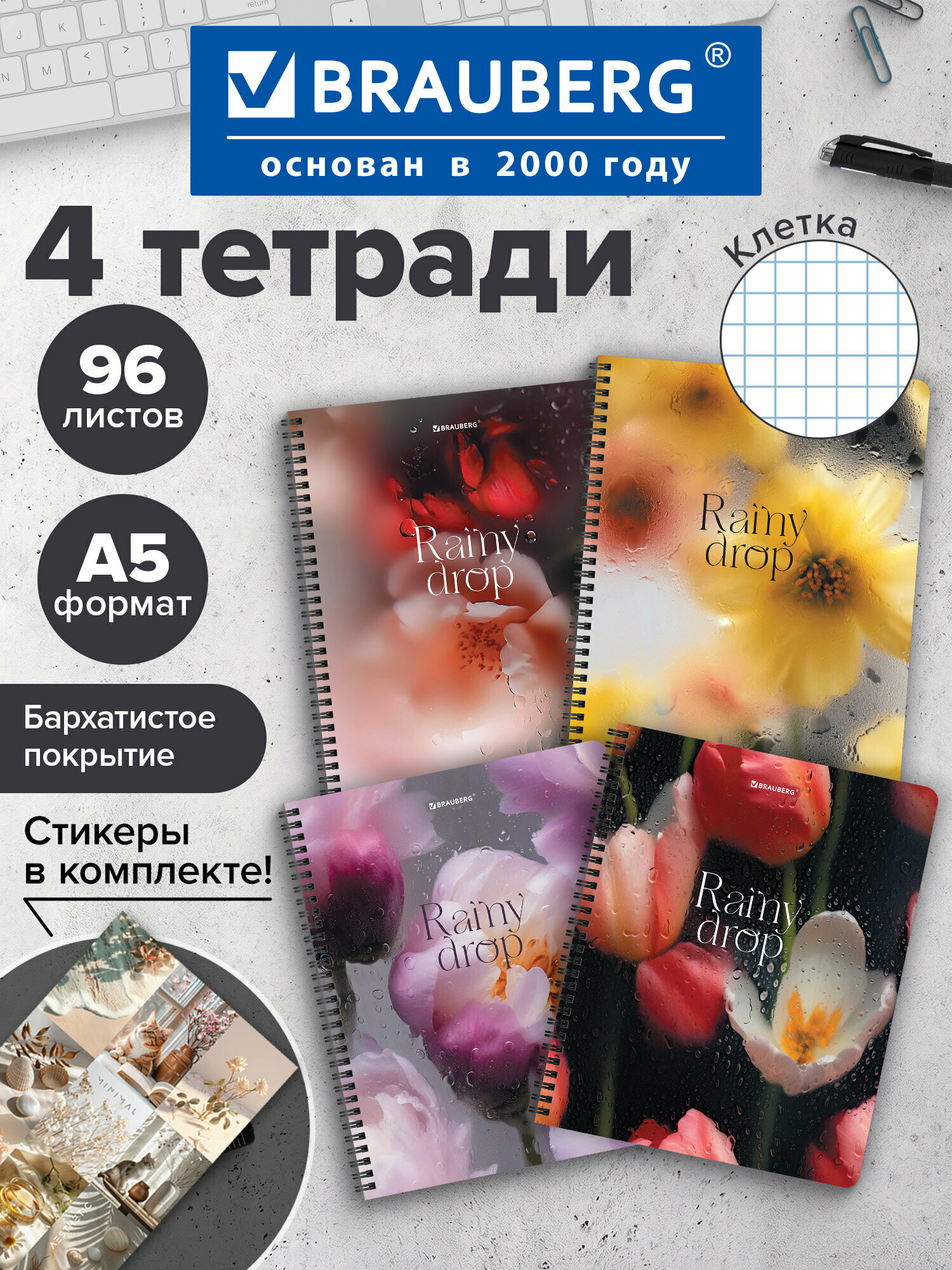 Тетрадь в клетку 96 листов А5 общая для записей на пружине в школу и офис, набор 4 штуки, Brauberg, 405583