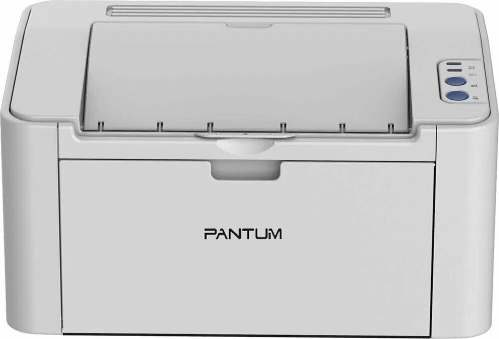 Pantum Принтер лазерный P2200, серый