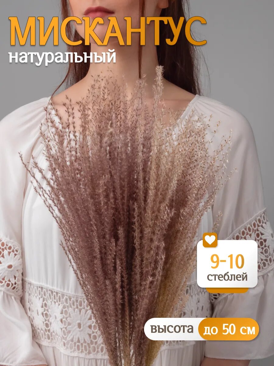 Мискантус натуральный 10 шт, сухоцветы для декора