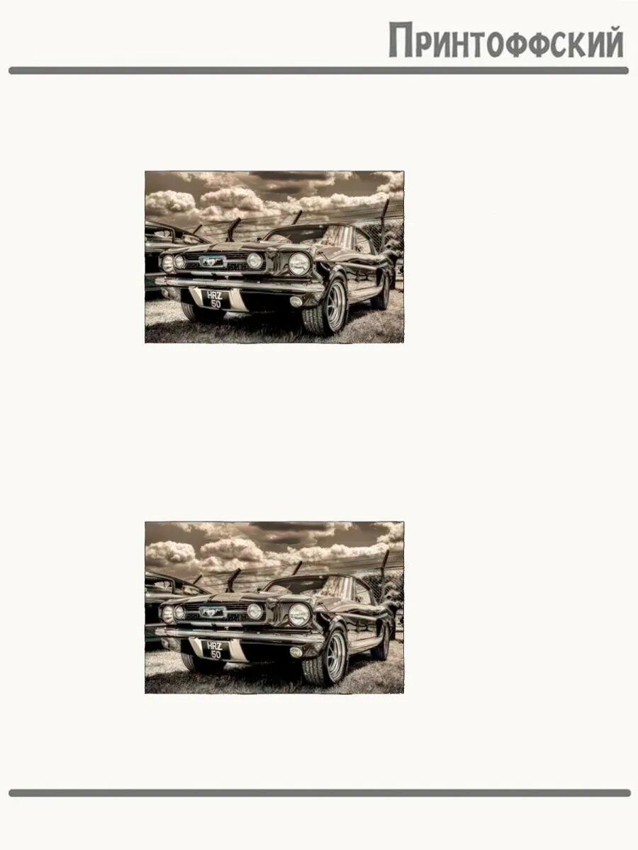 2-е (Две) Термонаклейки авто мустанг mustang