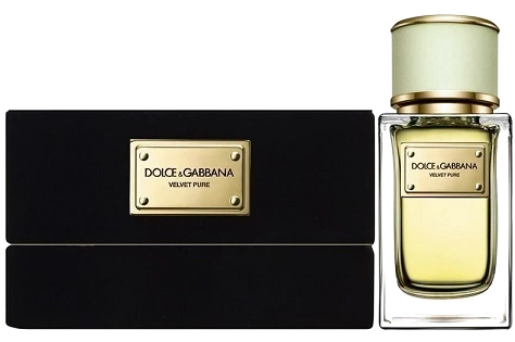 Парфюм для женщин Дольче Габбана Вельвет Пюре 50 мл - Dolce & Gabbana Velvet Pure Чистый Бархат